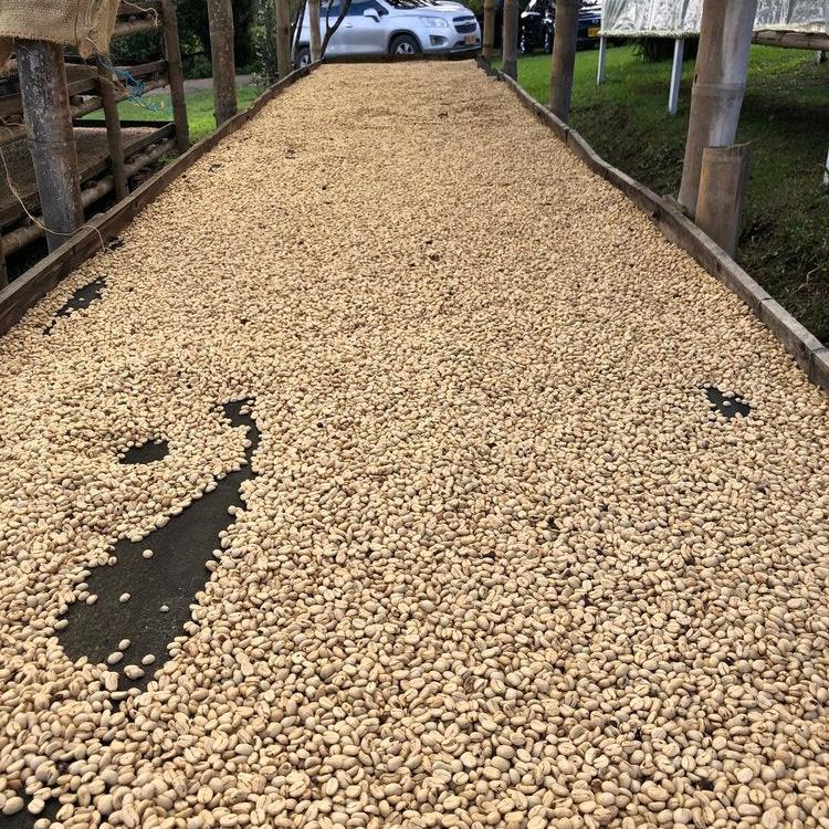 Decaffeinated Colombia – French Truck Coffee